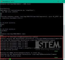 Restart SAP HANA Service on SuSE Linux - SAP business one