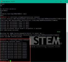 Restart SAP HANA Service on SuSE Linux - SAP business one