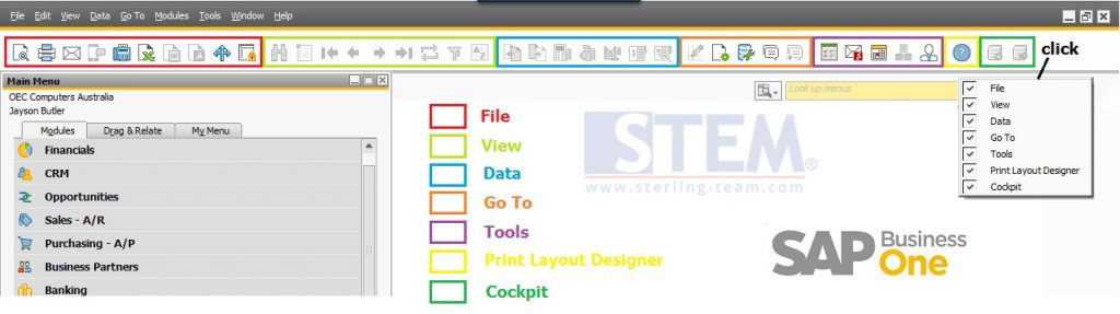 Customize Your SAP Tool Bar