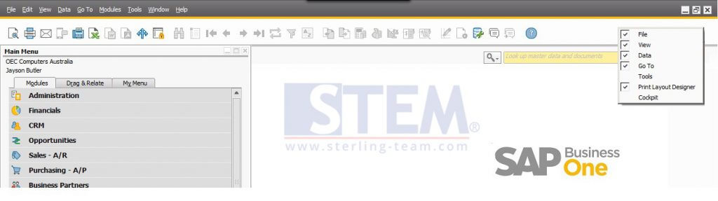 Customize Your SAP Tool Bar