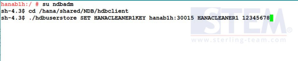 Hana Housekeeping Using Python Script