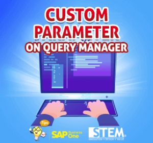 Cara Pakai Kustom Parameter di Query Manager SAP B1