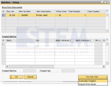 Automatically Create Batch Numbers