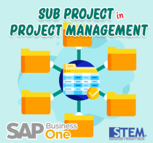Sub Project dalam Project Management
