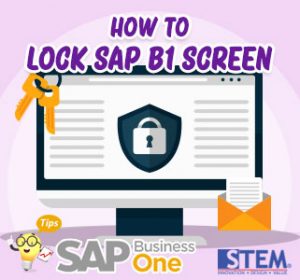How to Lock SAP Business One Screen