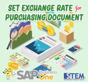 How to Set Exchange Rate for Purchasing Document in SAP Business One?