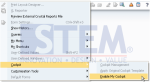Enable User-Level Cockpit in SAP Business One