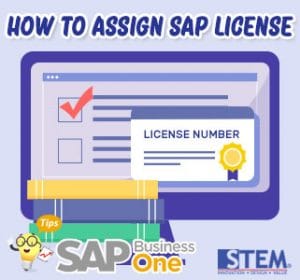How to Assign SAP License