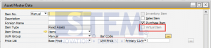 Virtual Item in Fixed Asset Master Data