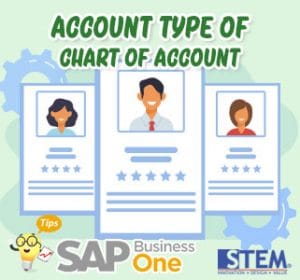 SAP Business One Chart of Accounts Account Types
