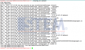 Restart SAP HANA Web Client Service on SuSE SLE 15 SP1