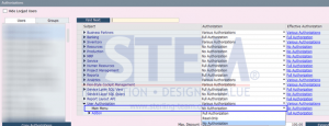 Form Authorization & Main Menu Settings Guide in SAP Business One