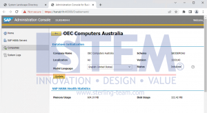 Setup Cube with Query in SAP HANA – Part 1 | SAP Business One Indonesia Tips | STEM SAP Gold Partner